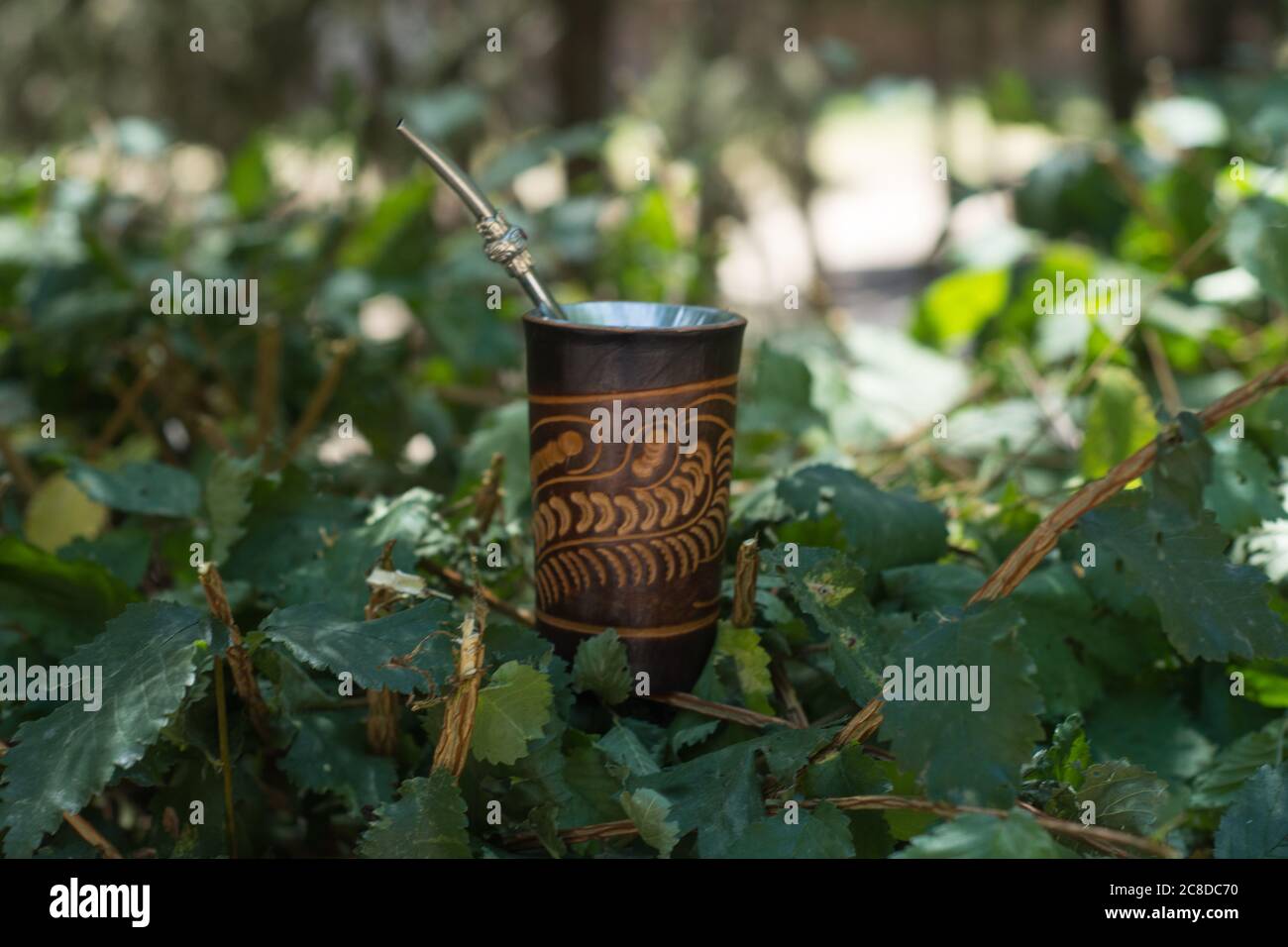 Terere drink, similar to mate but prepared with cold water. It is ...