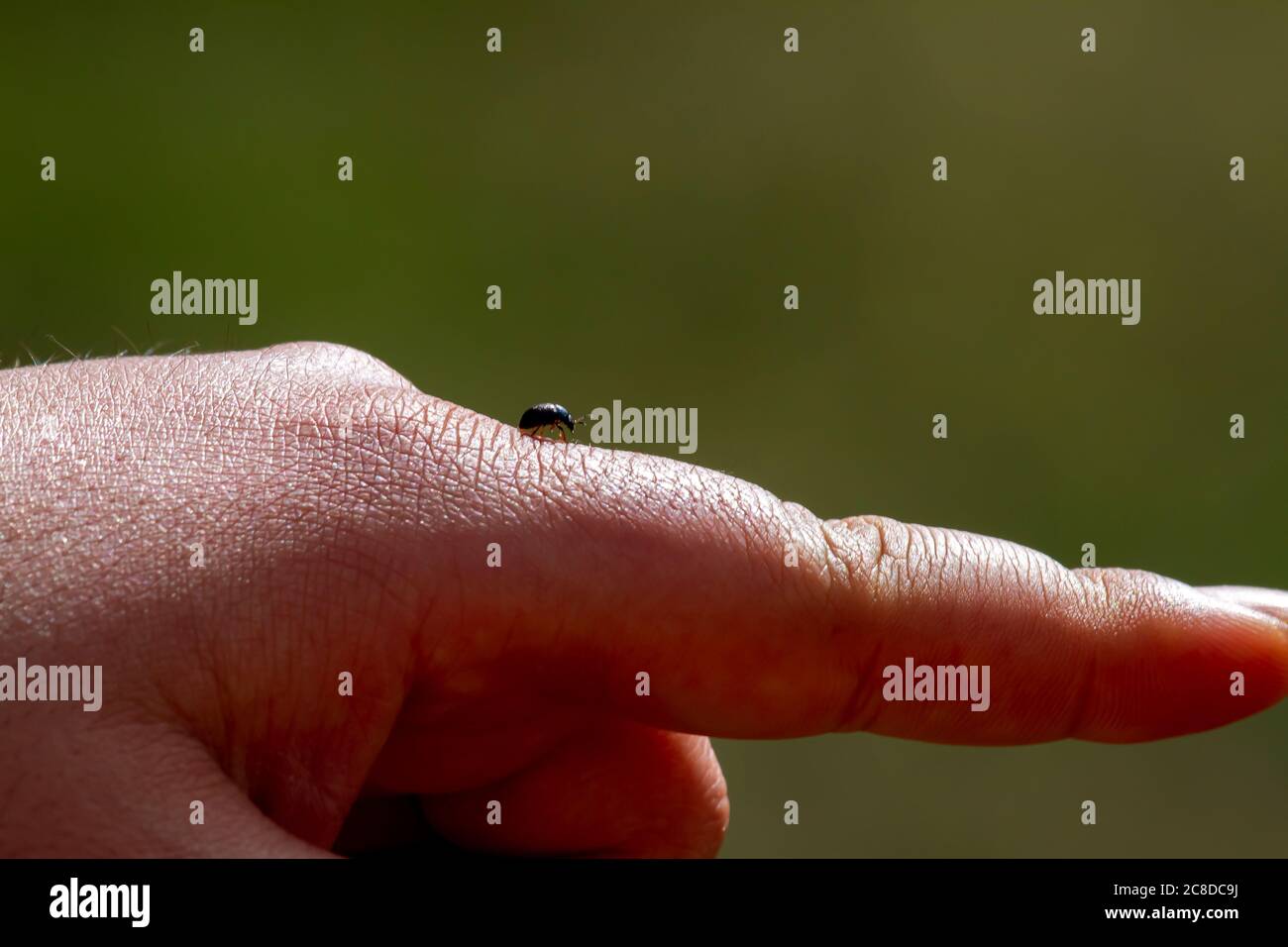 An abstract isolated close up image showing a man's hand in a pointing ...