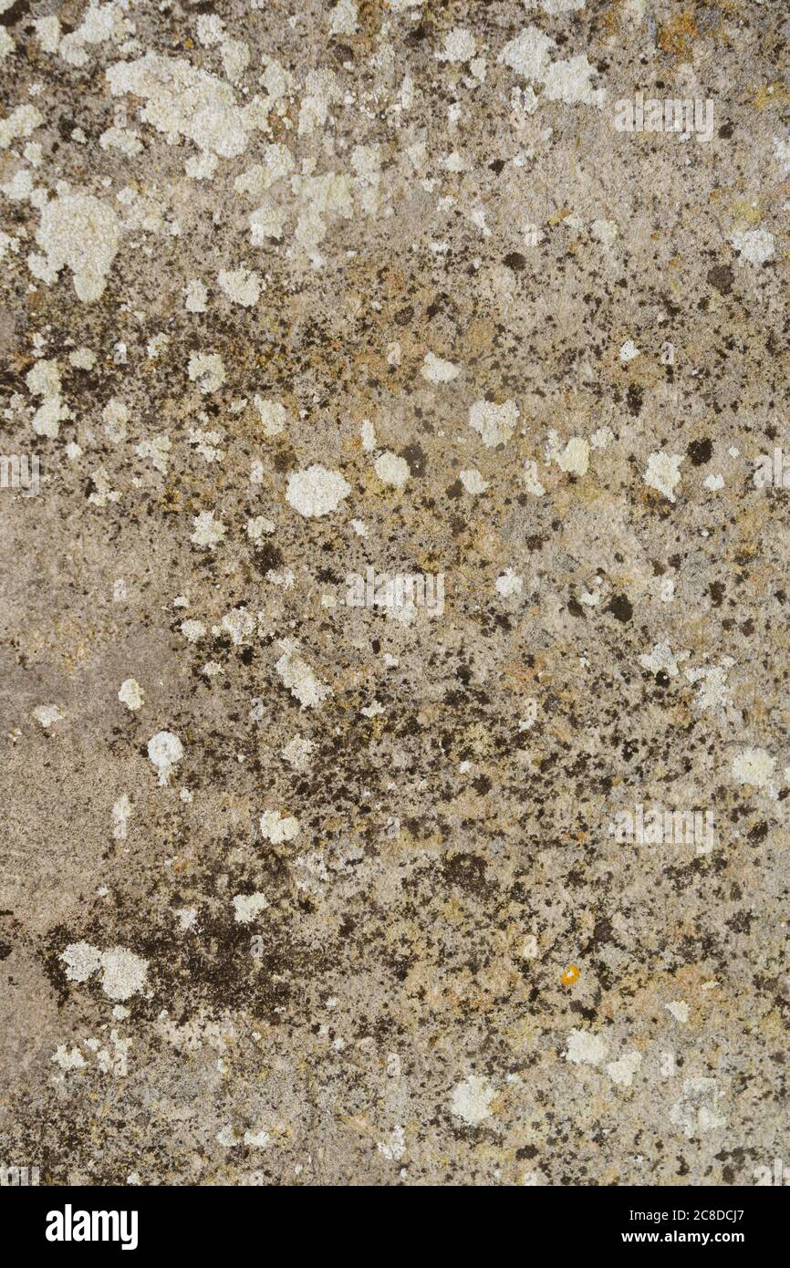 Natural pattern and texture formed on an old slab of stone. Background ...