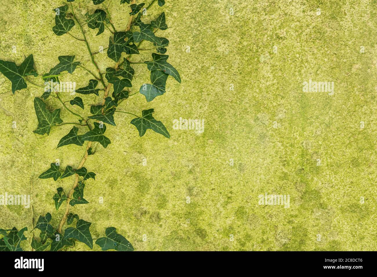 Natural pattern and texture formed on an old slab of stone covered in ...