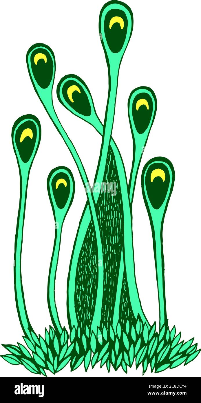 Moss graphic drawing. Isolated element. Green colored hand drawn ...