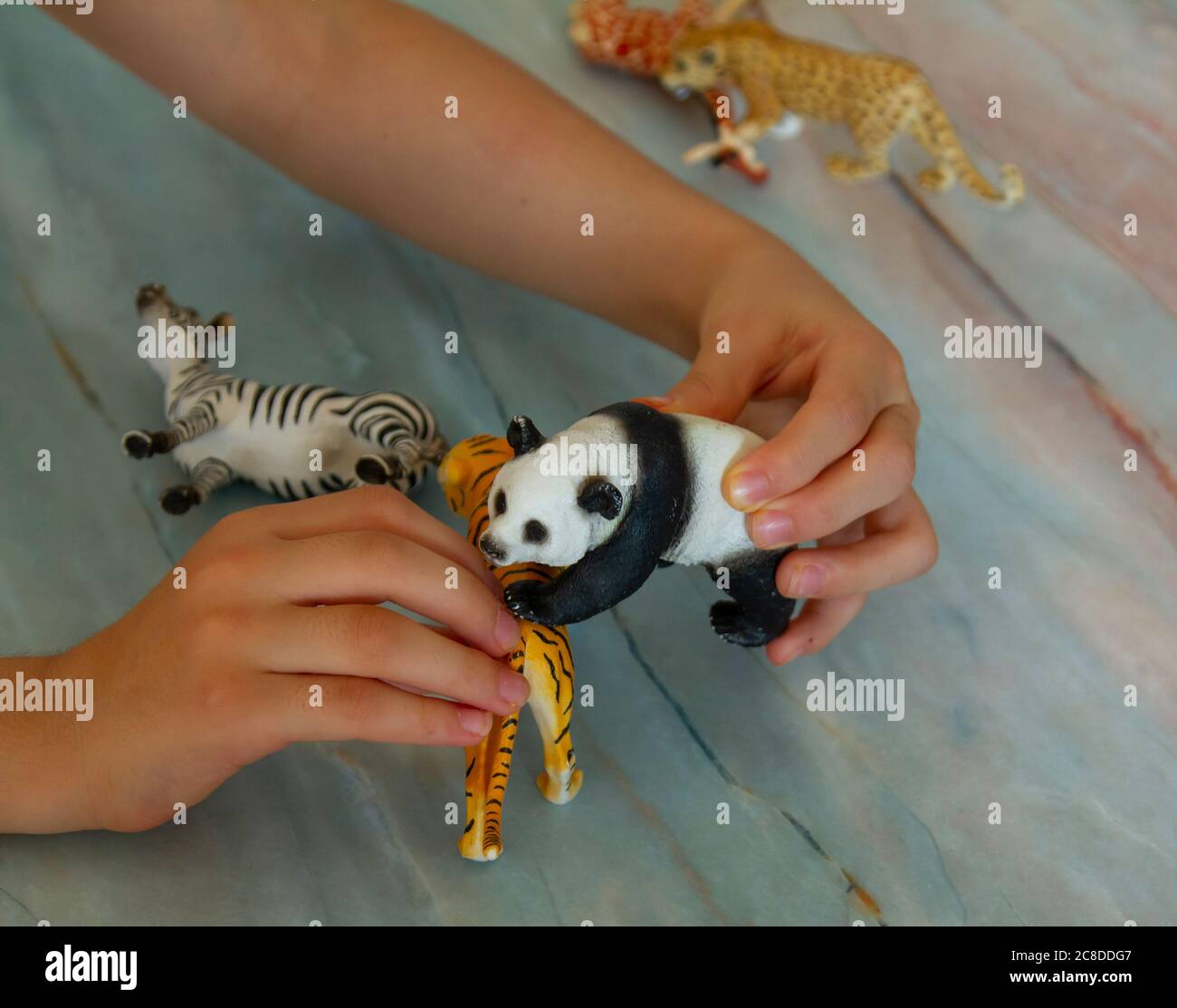 Animals according hi-res stock photography and images - Alamy