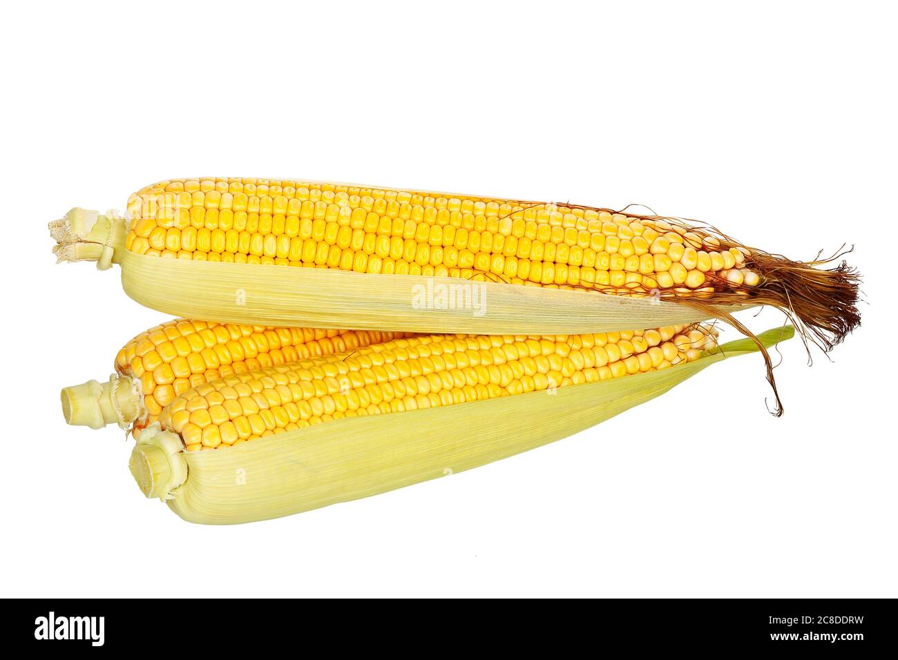 three ears of corn isolated on white Stock Photo - Alamy