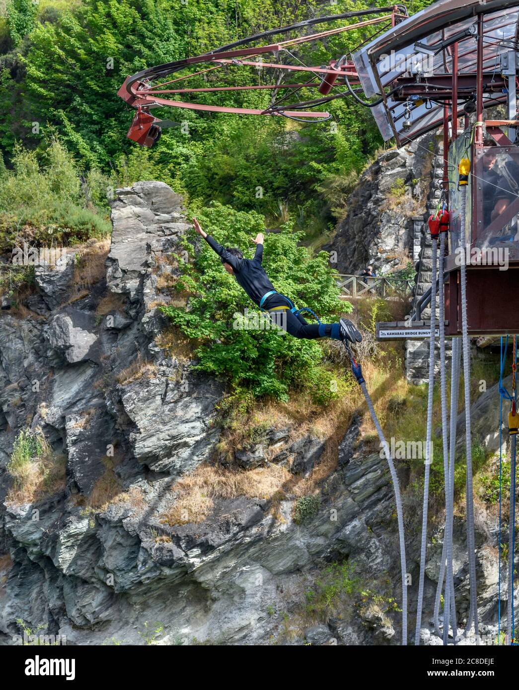 Bungy jumping from the Kawarau Gorge suspension bridge, Otago, New ...