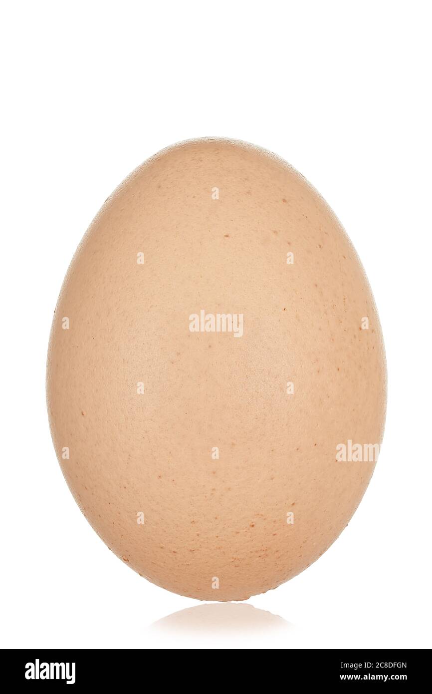 single egg isolated on white Stock Photo - Alamy