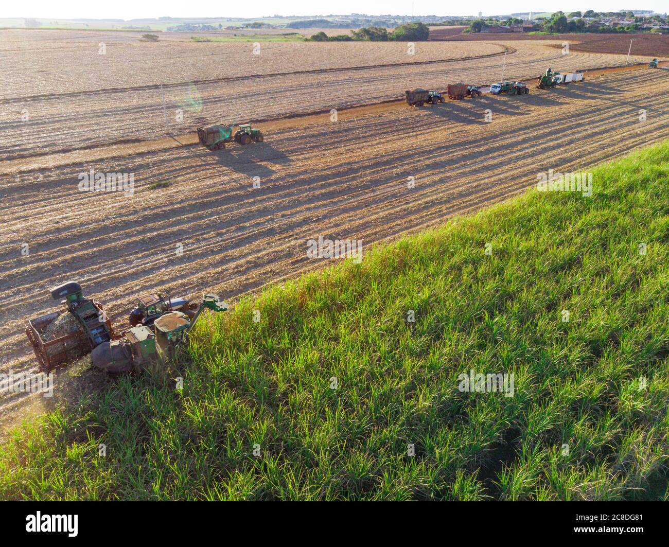 Farm Tractors working on sugar cane harvest plantation aerial view ...