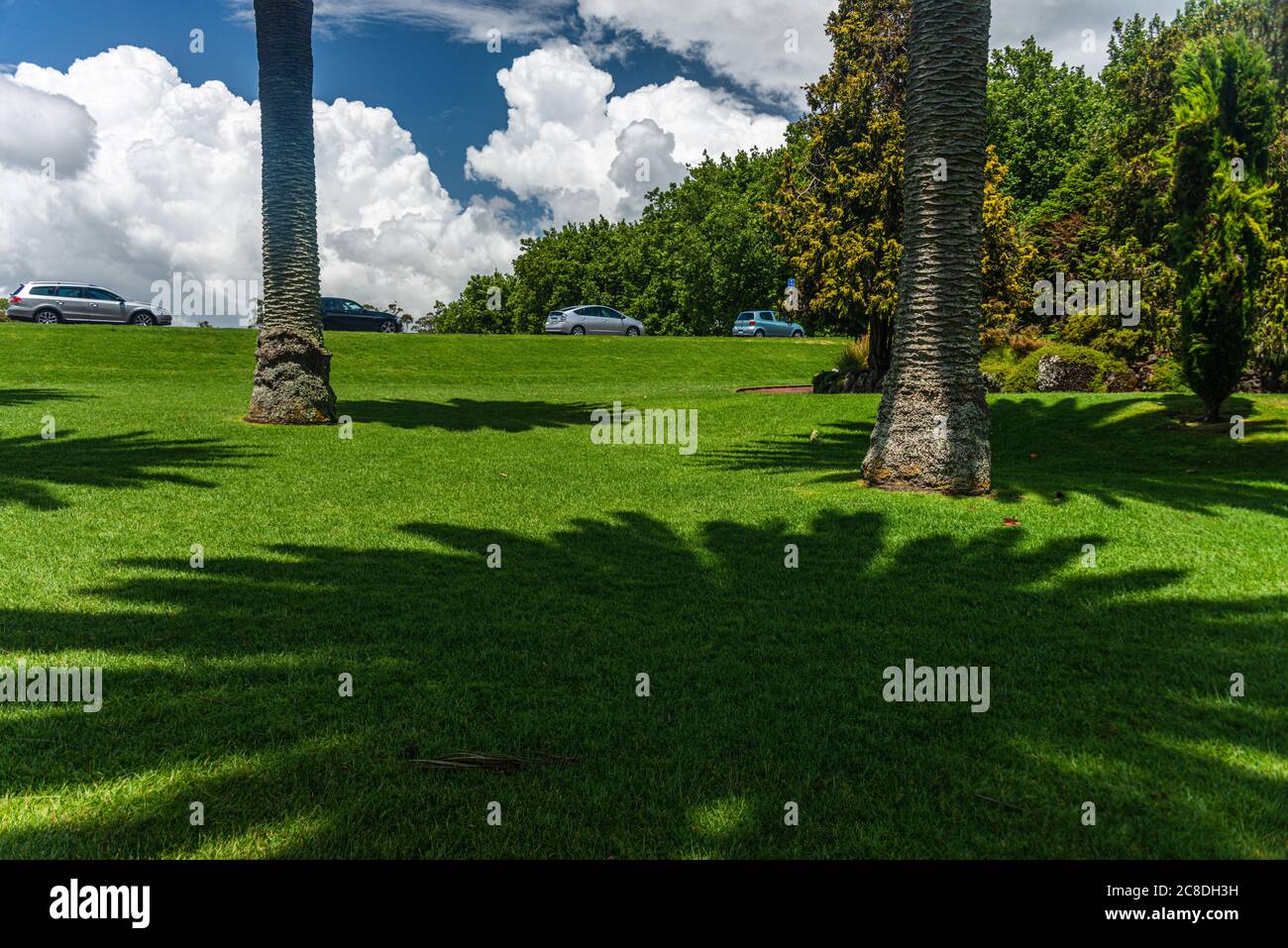 The Auckland Domain, New Zealand Stock Photo - Alamy