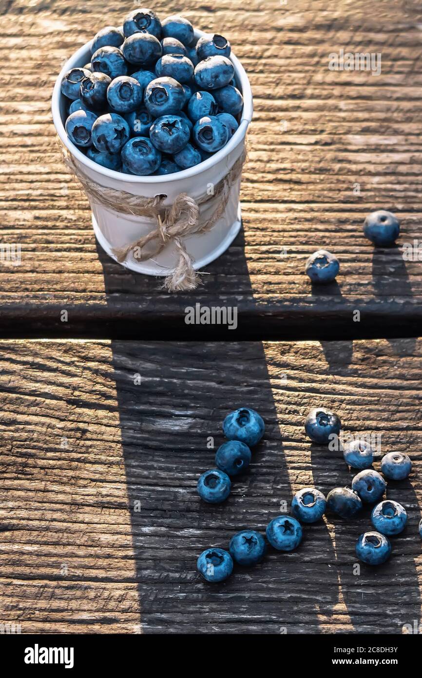 Growing blueberries bucket hi-res stock photography and images - Alamy