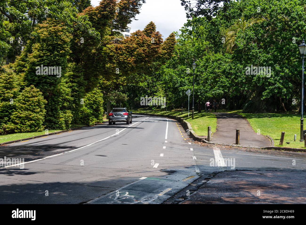 The Auckland Domain, New Zealand Stock Photo - Alamy