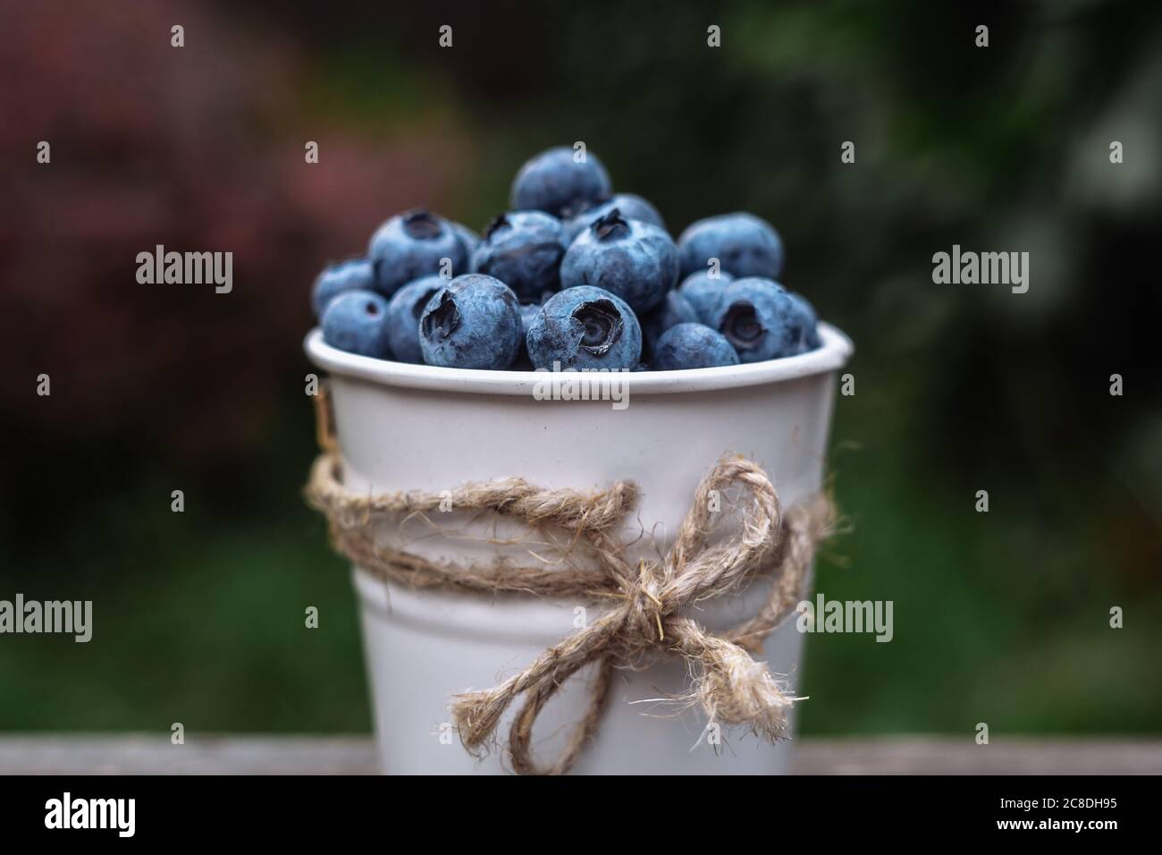 Some blueberries in a decorate small bucket on wooden banch in the ...