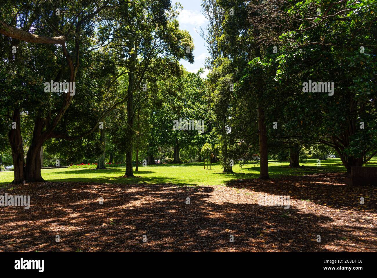 The Auckland Domain, New Zealand Stock Photo - Alamy