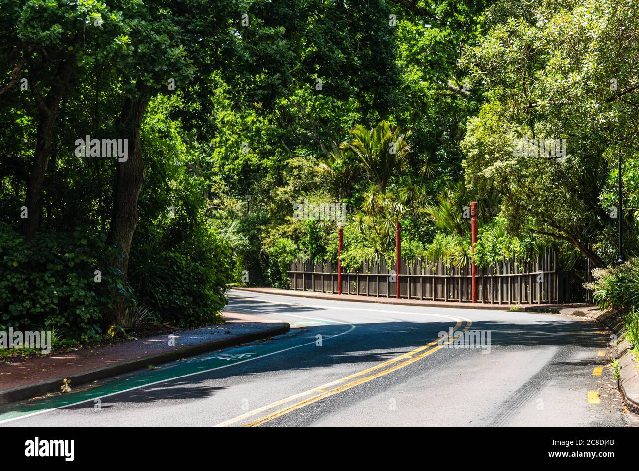 The Auckland Domain, New Zealand Stock Photo - Alamy