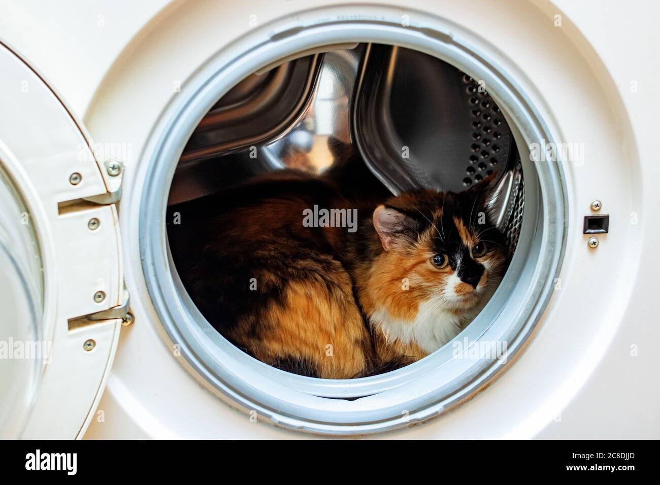 Funny washing machine hi-res stock photography and images - Alamy