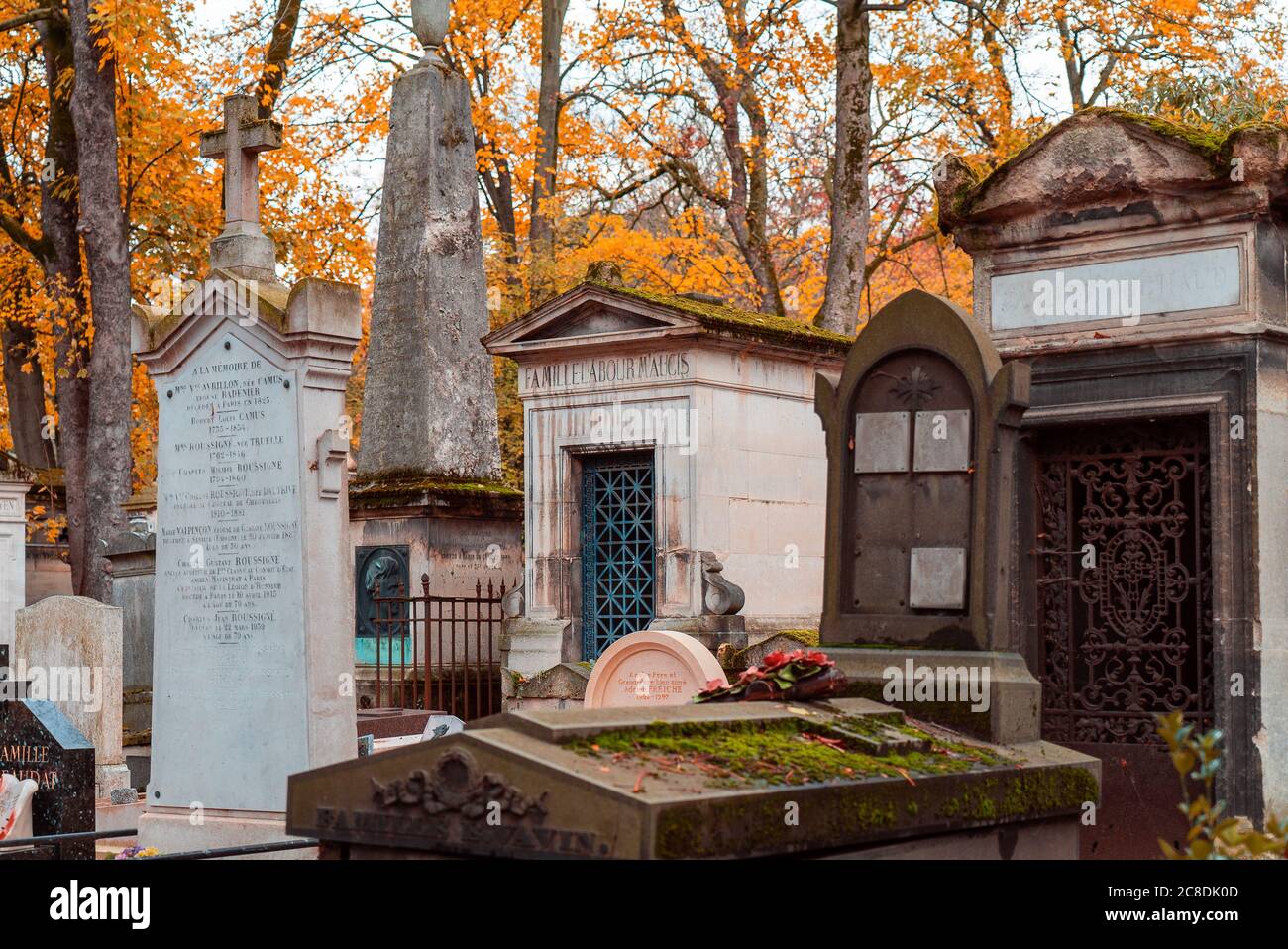 Paris, France - November 14, 2019: A view on autumn alley of the most ...