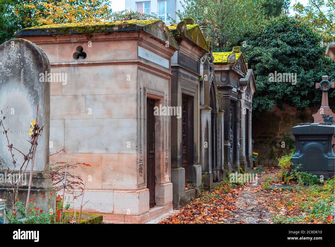 Paris, France - November 14, 2019: A view on autumn alley of the most ...