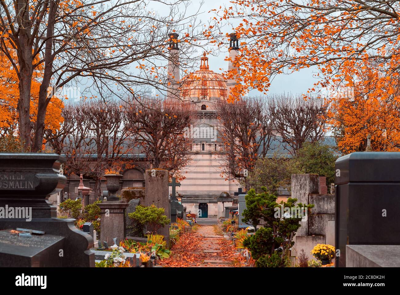 Paris, France - November 14, 2019: A view on autumn alley of the most ...