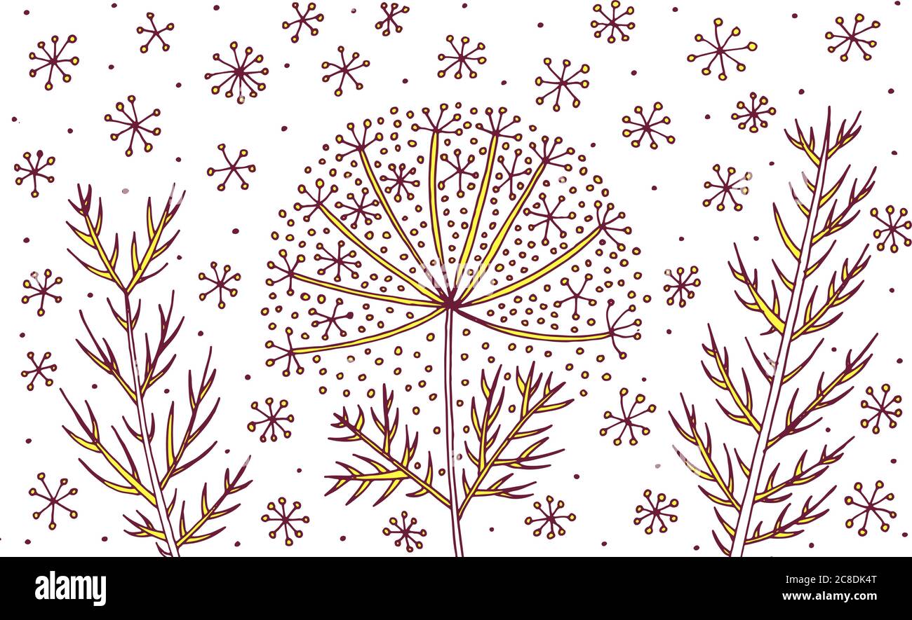 Dill - floral illustration. colorful plant drawing. Graphic psychedelic ...