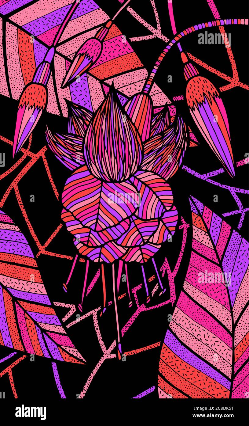 Fuchsia - floral illustration. colorful plant drawing. Graphic ...