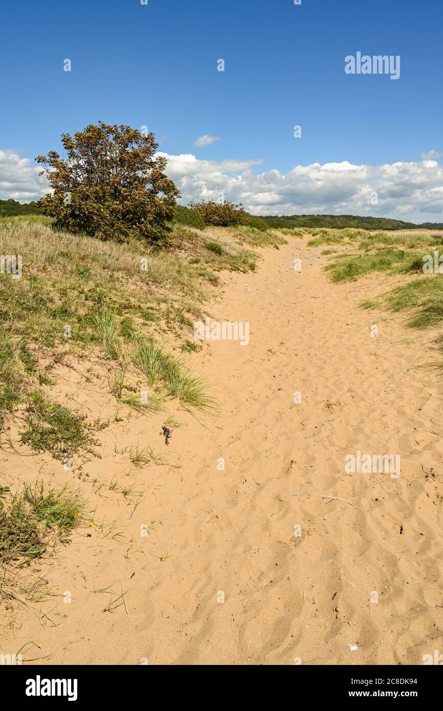 Footprints and tracks on a path through sand dunes Stock Photo - Alamy