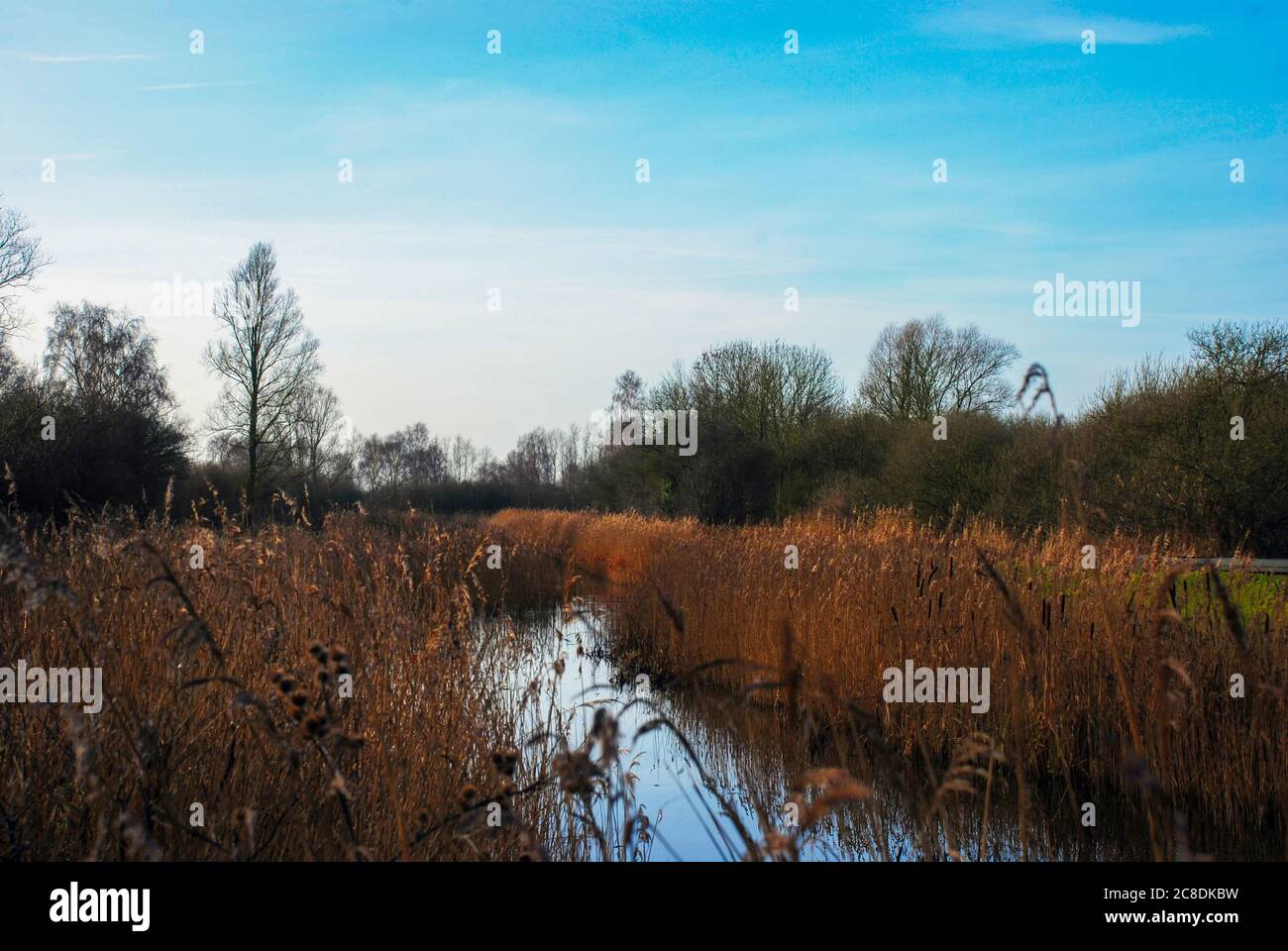 Fenland landscapes hi-res stock photography and images - Alamy