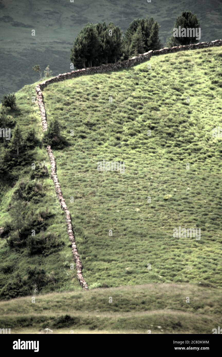 Stone wall on alpine pasture, Flumserberg in the Swiss Alps Stock Photo ...