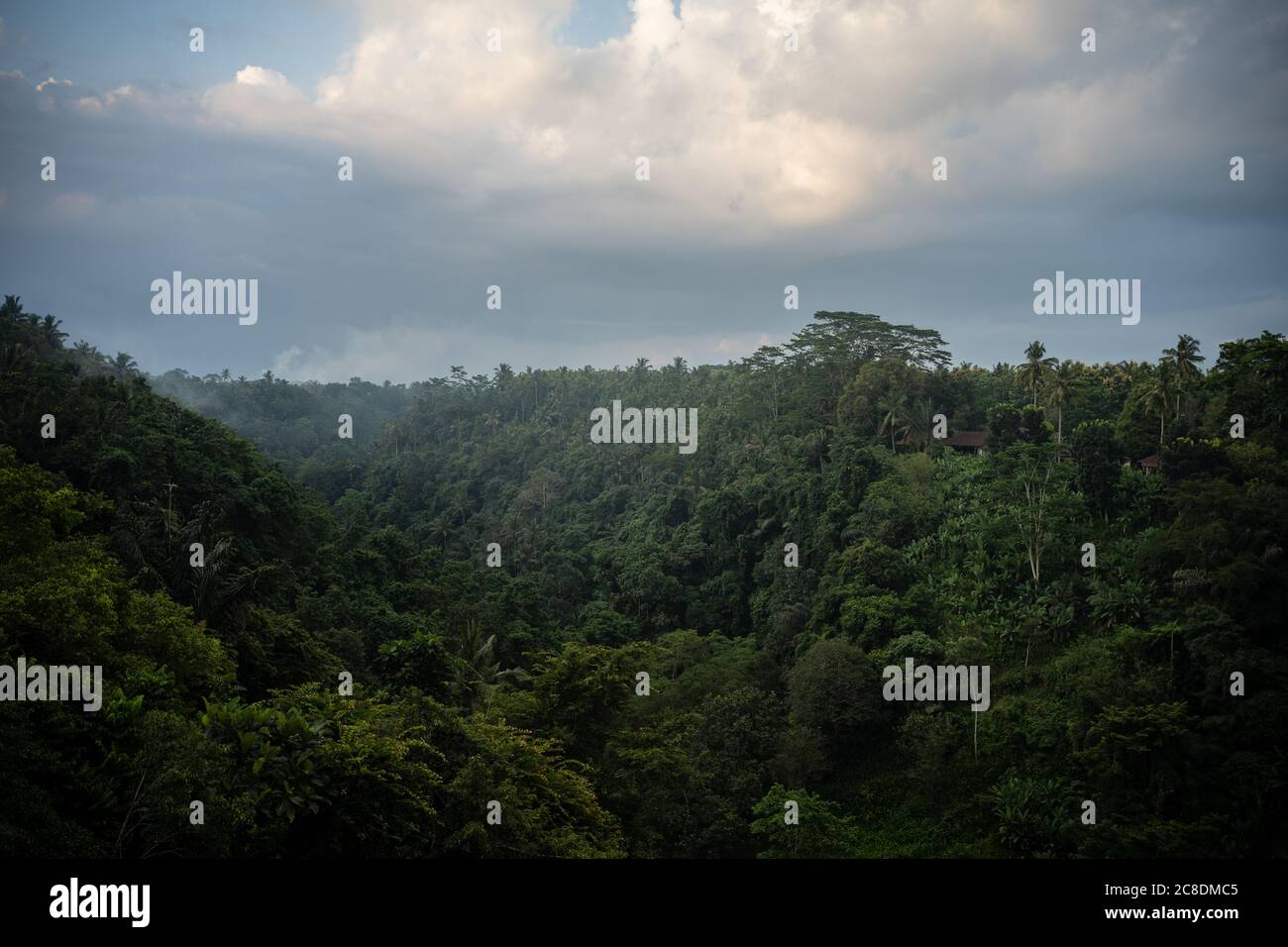 Tropical rainforest clouds hi-res stock photography and images - Alamy