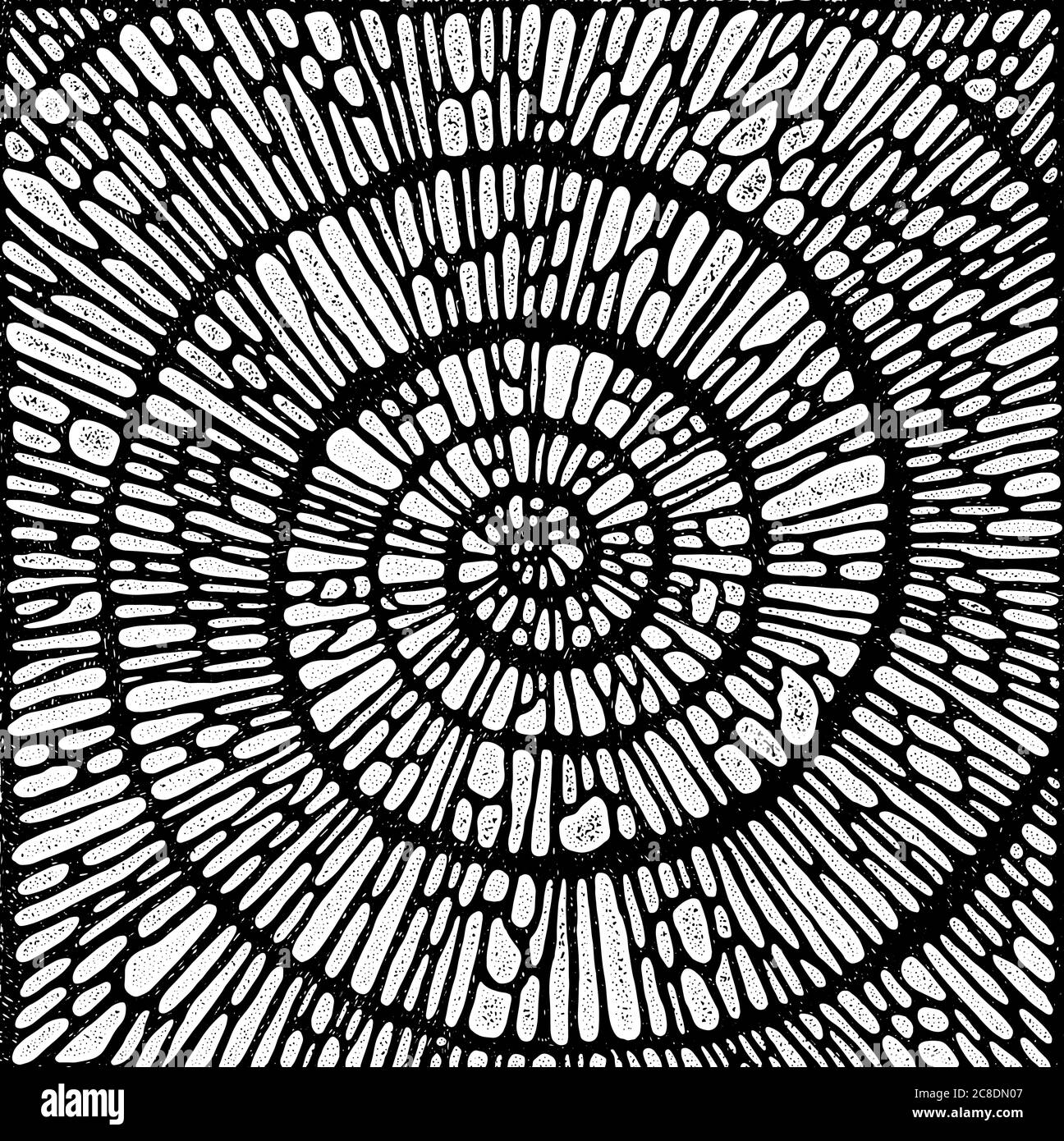 Ammonite shell spiral pattern. Outline graphic art. Shell texture ...