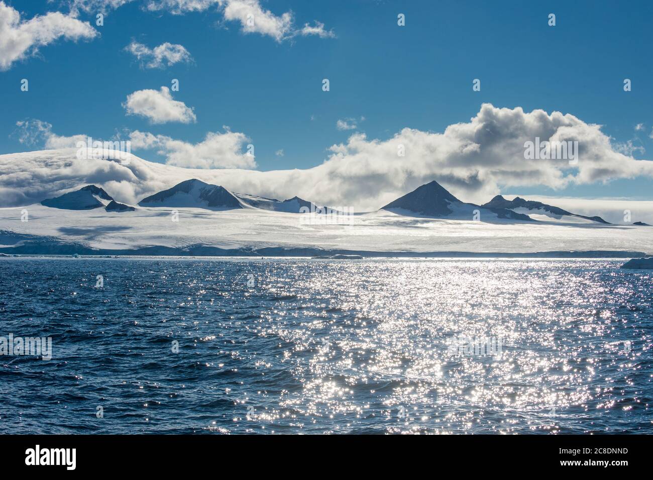 Tabarin peninsula hi-res stock photography and images - Alamy