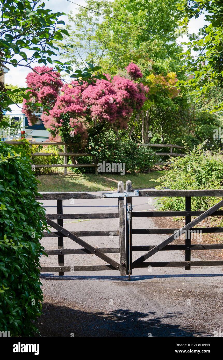 Decorative gates hi-res stock photography and images - Alamy