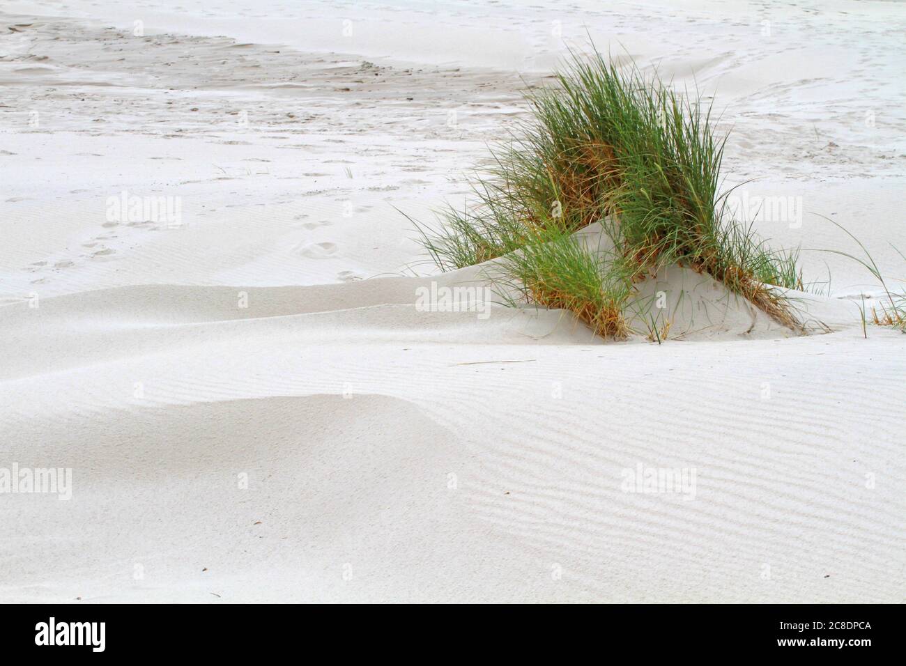 Marram grass landscape hi-res stock photography and images - Alamy