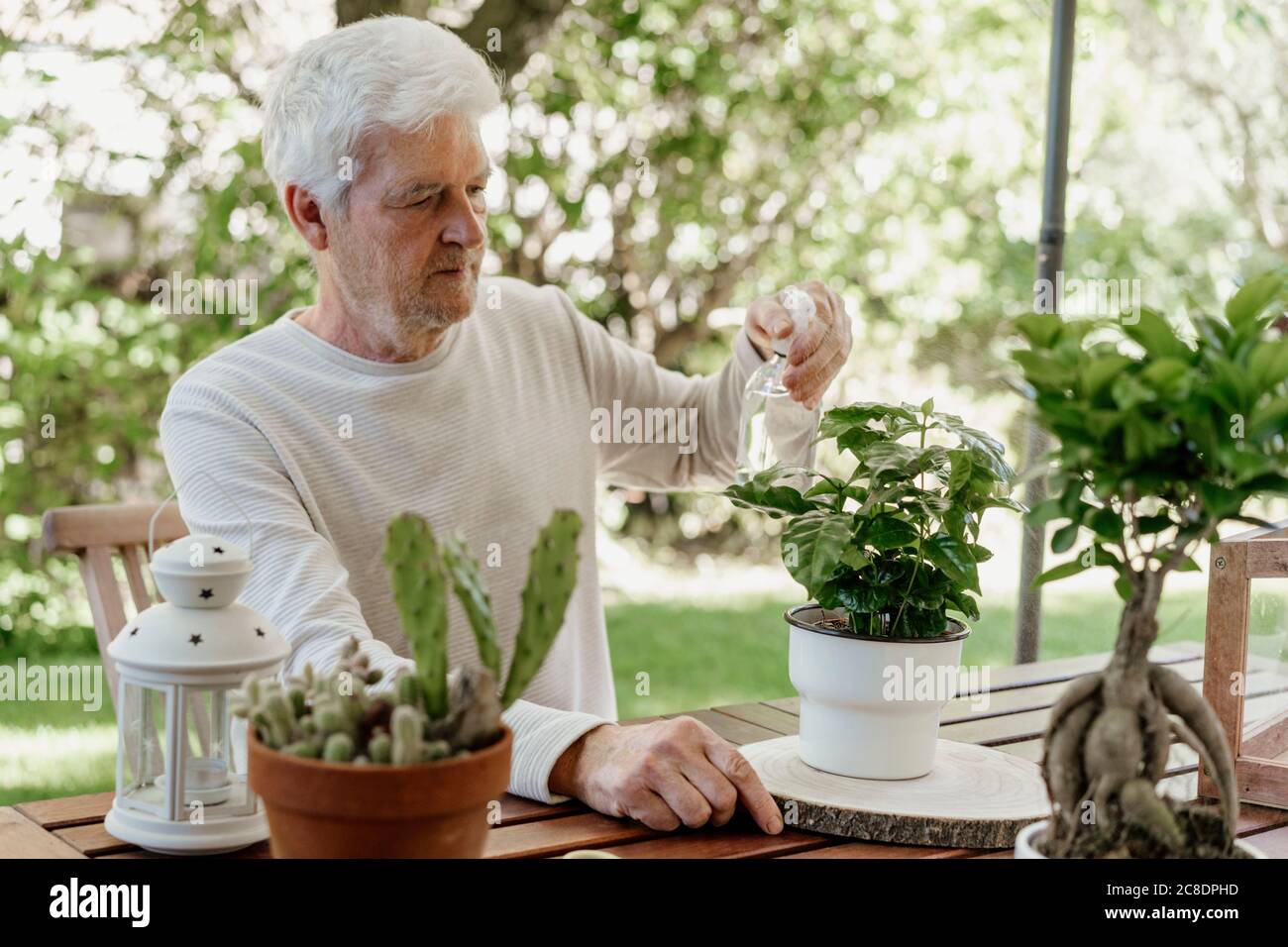 Man spraying hi-res stock photography and images - Alamy