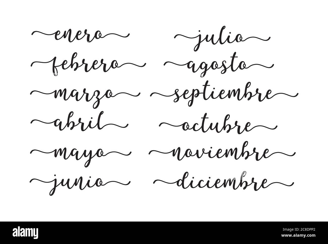 Hand Lettered Months of the Year in Spanish. Lettering for Calendar ...