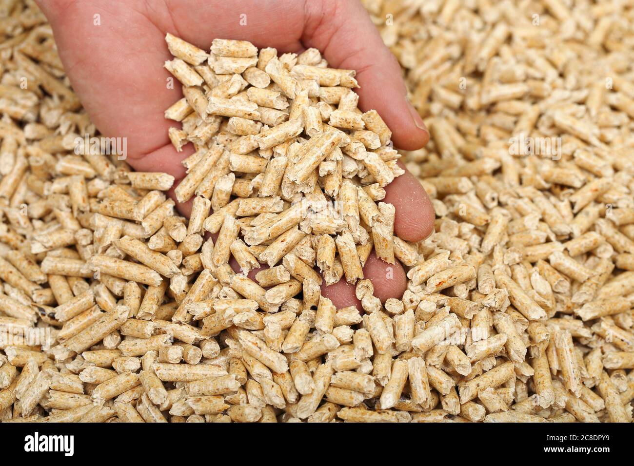 Palm stove hi-res stock photography and images - Alamy