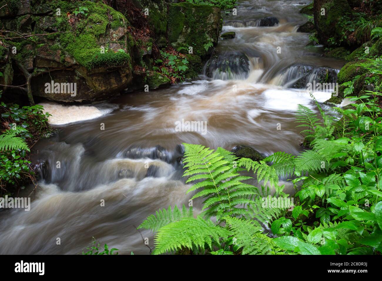 Wild river doubrava autumn fall hi-res stock photography and images - Alamy