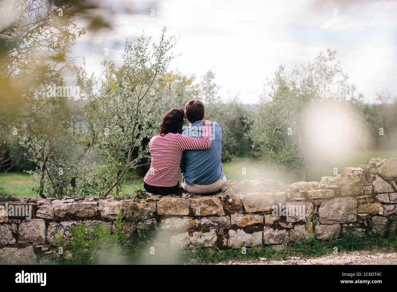 People looking at trees hi-res stock photography and images - Alamy