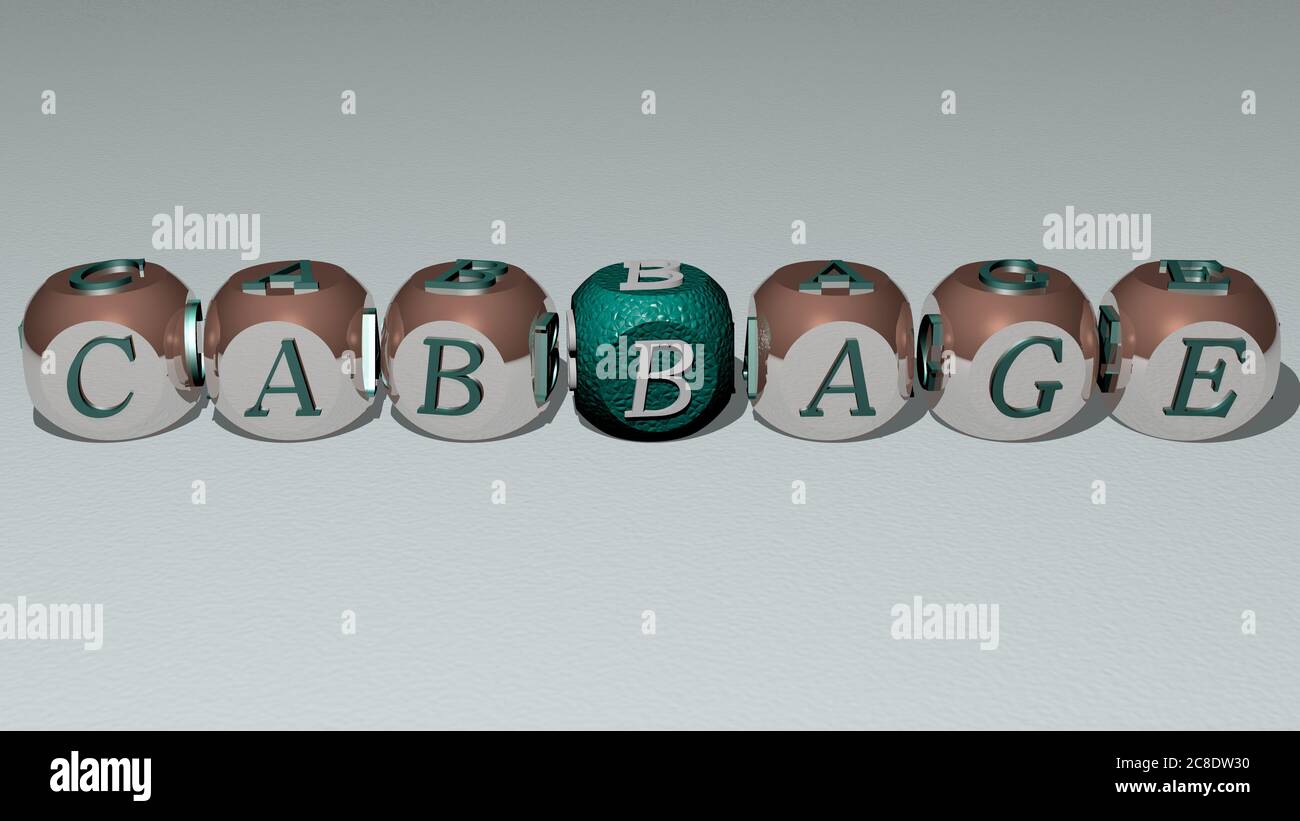 crosswords of CABBAGE arranged by cubic letters on a mirror floor ...