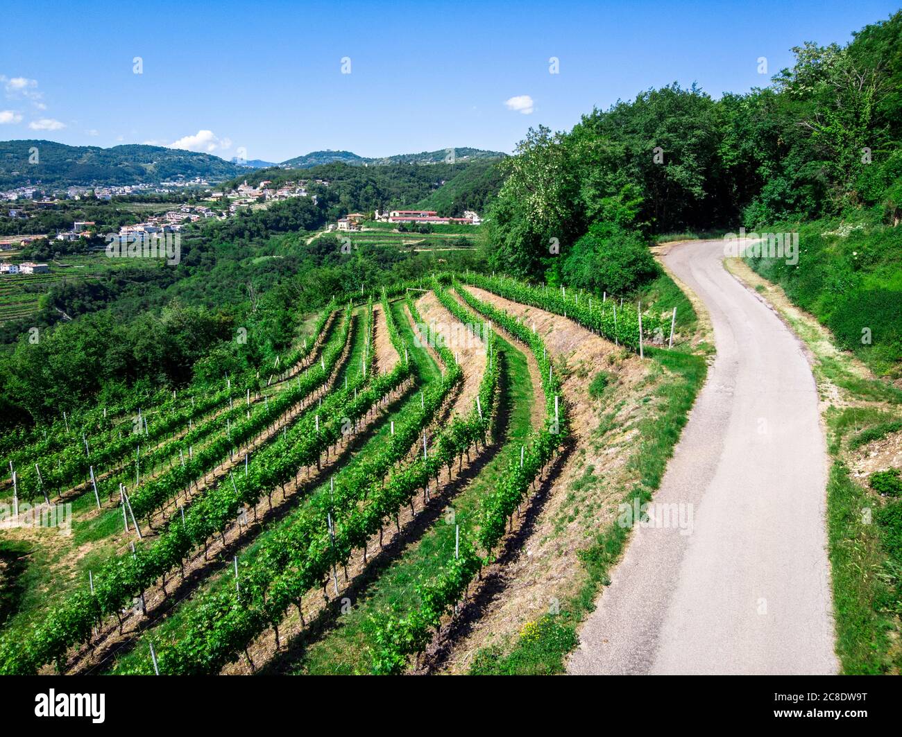 Valpolicella hi-res stock photography and images - Alamy
