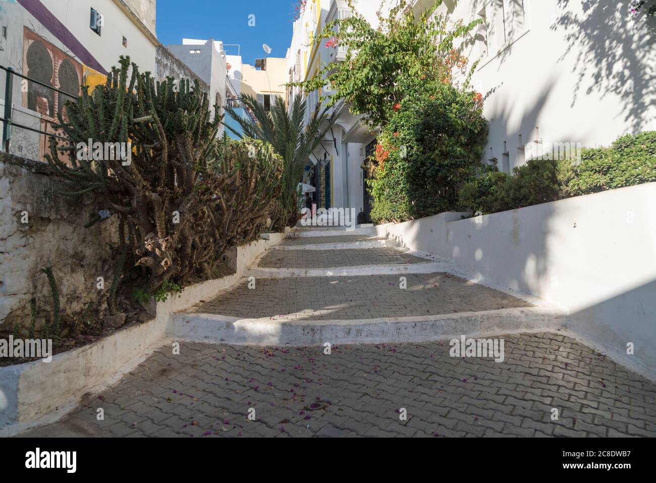 Morocco, Tanger-Tetouan-Al Hoceima, Tangier, Alley in historic medina ...