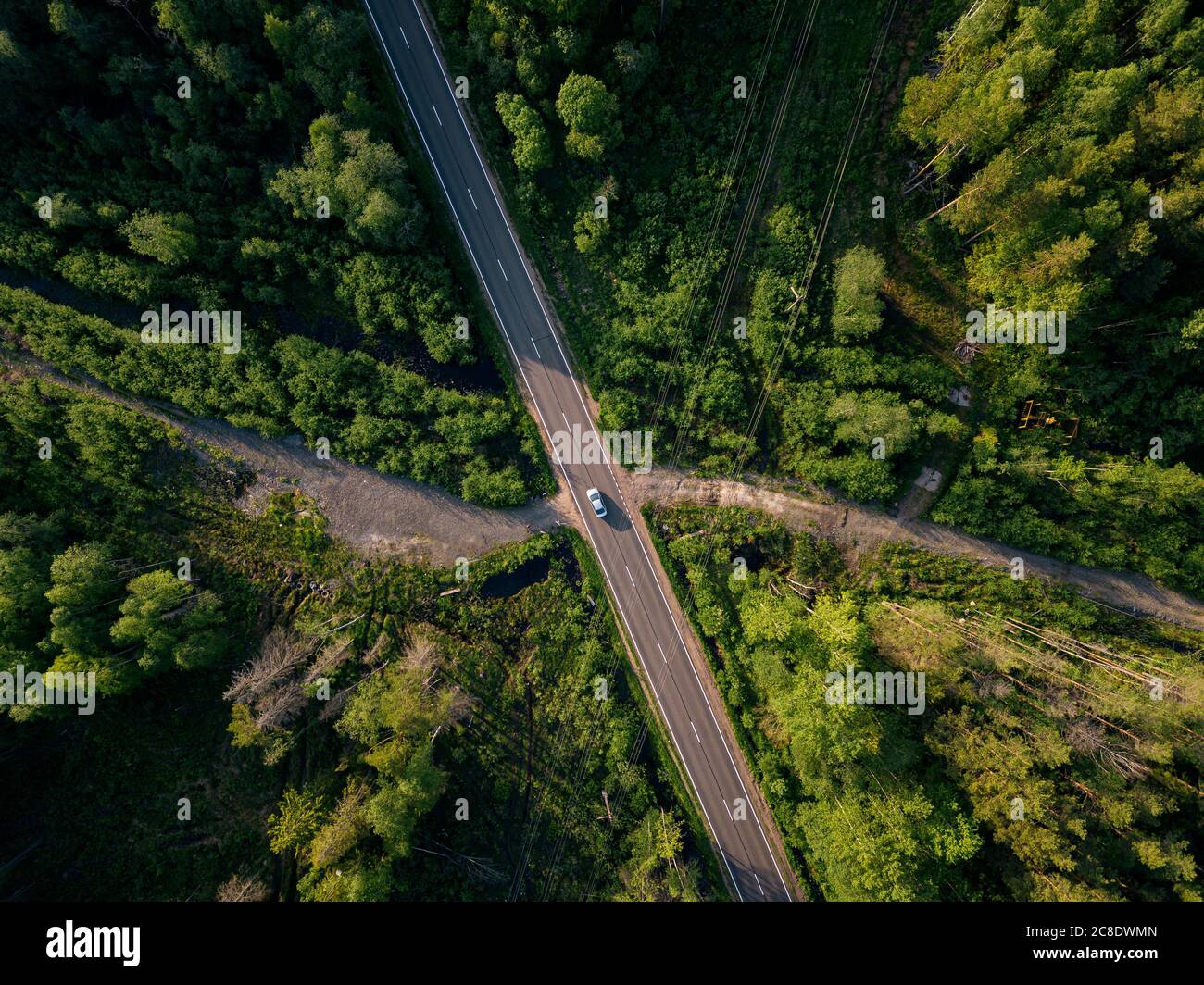 Aerial view of asphalt road cutting through vast green forest hi-res ...