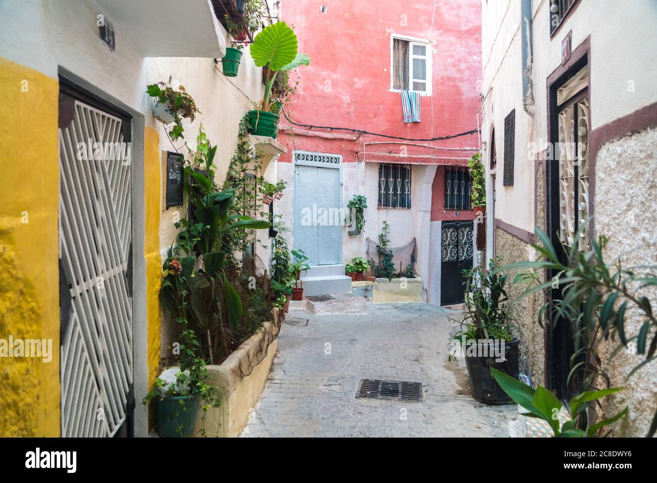 Morocco, Tanger-Tetouan-Al Hoceima, Tangier, Potted plants decorating ...