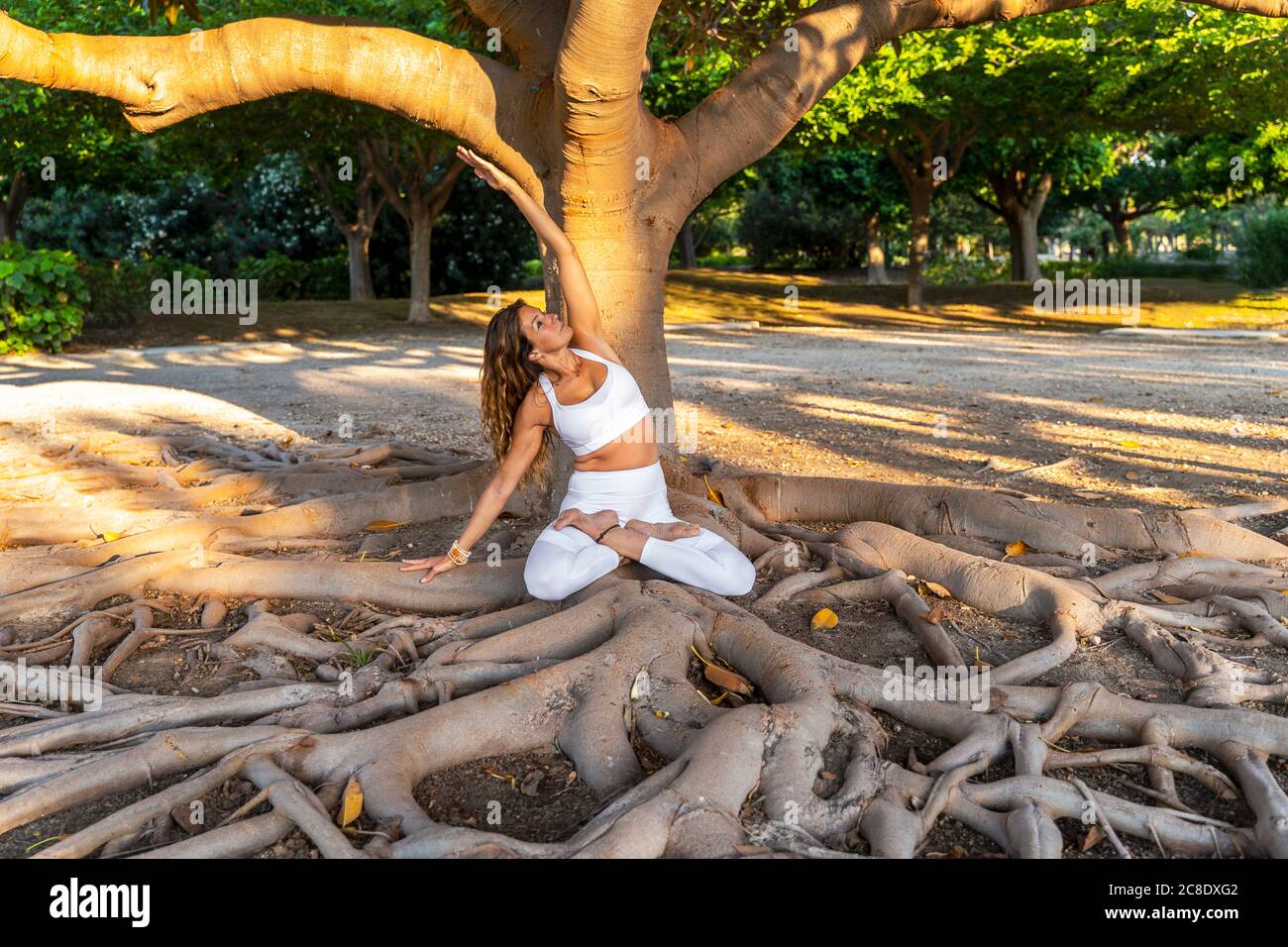 Raised sitting position hi-res stock photography and images - Alamy