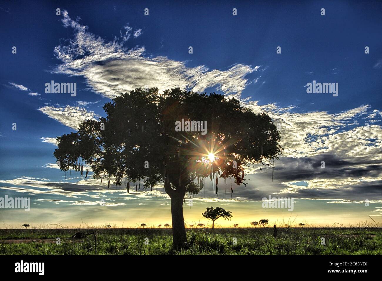Garamba national park congo hi-res stock photography and images - Alamy