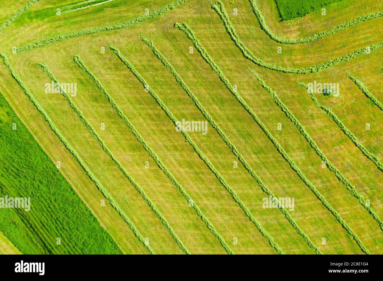 Grass field birds eye view hi-res stock photography and images - Alamy