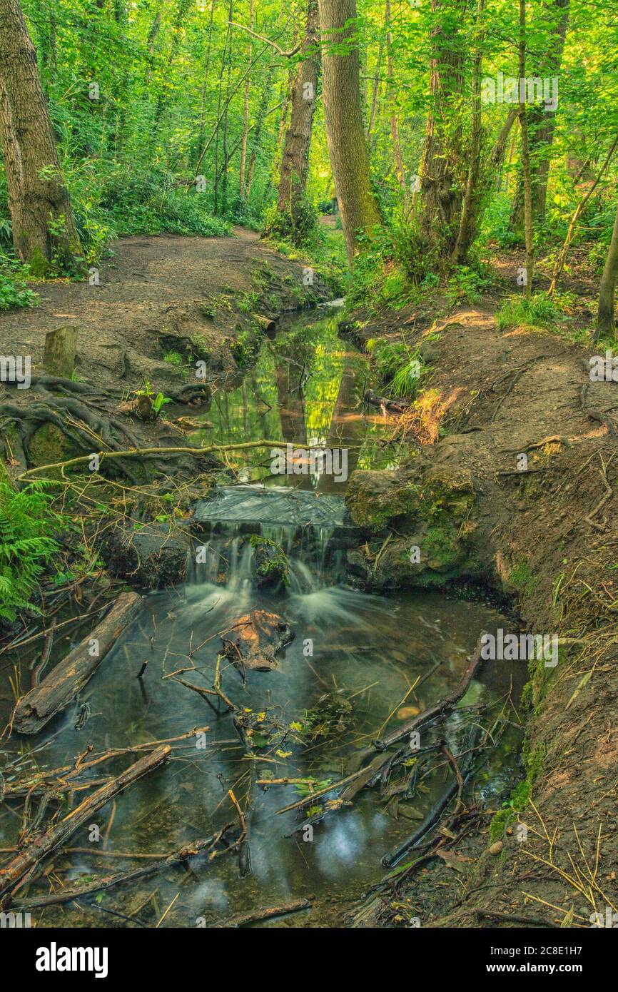 Woodland stream with close-up patterns as the water runs over ridged ...