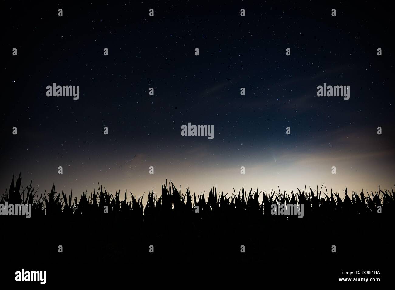 Comet corn hi-res stock photography and images - Alamy