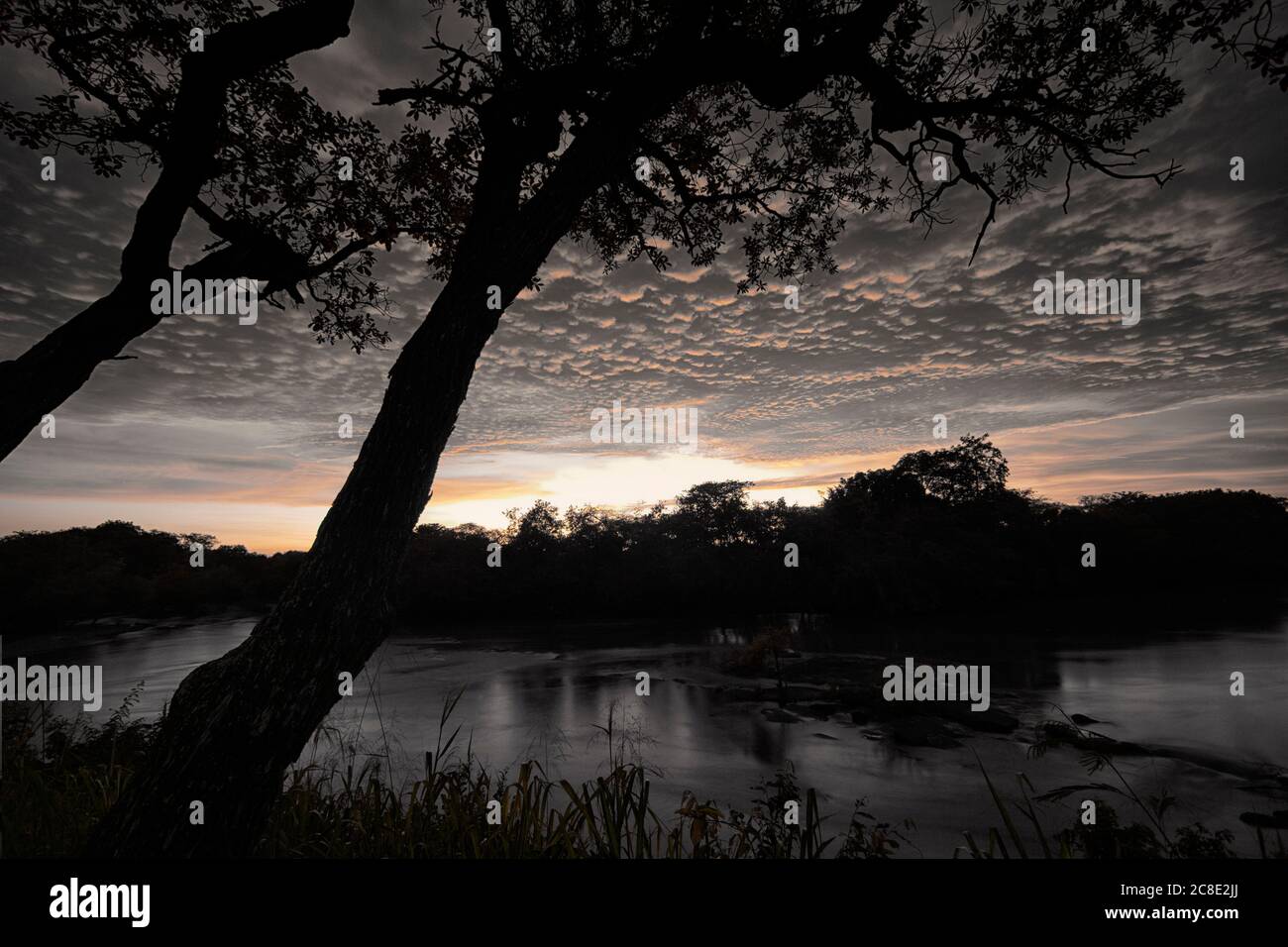 Democratic Republic Of Congo, Riverbank in Garamba National Park at ...