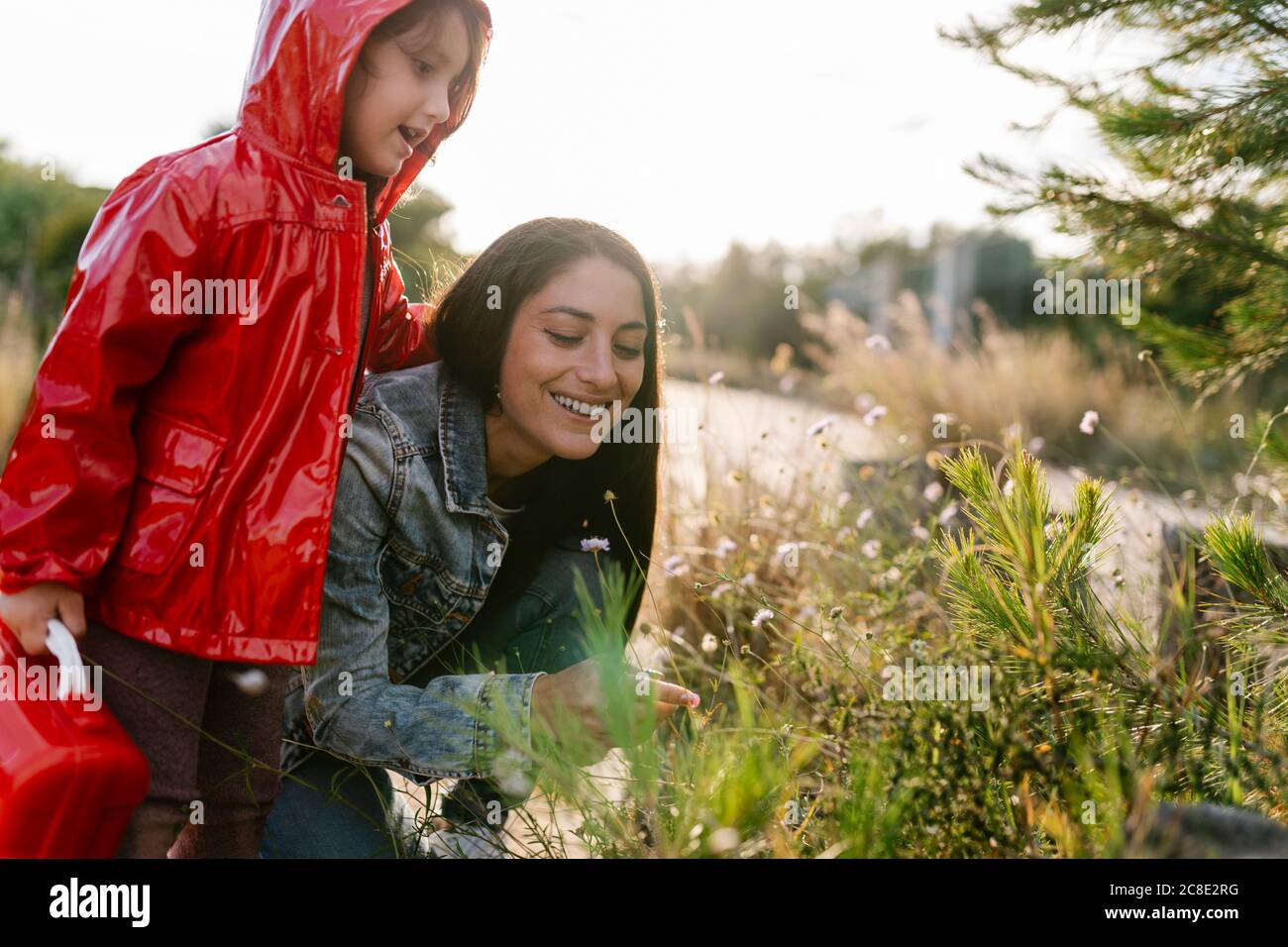 Mother and daughter picking wild flowers Stock Photo - Alamy
