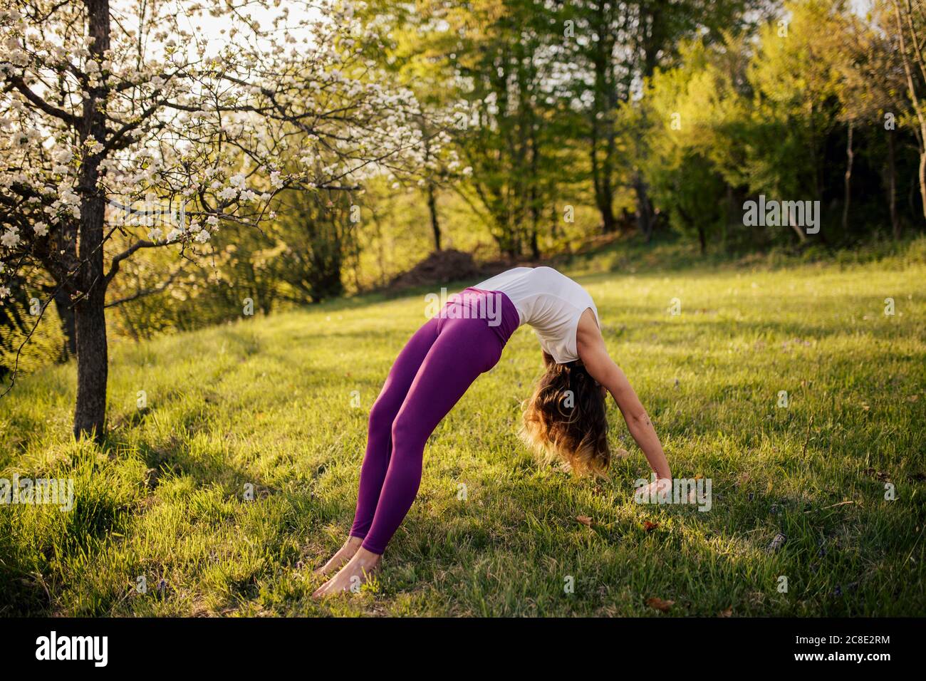 Bending tree pose hi-res stock photography and images - Alamy