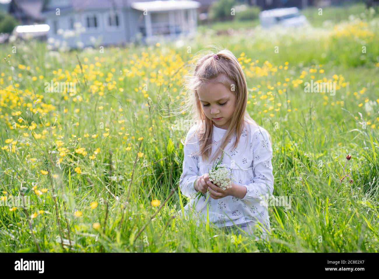 Cute girl picking flowers while sitting on grassy land Stock Photo - Alamy