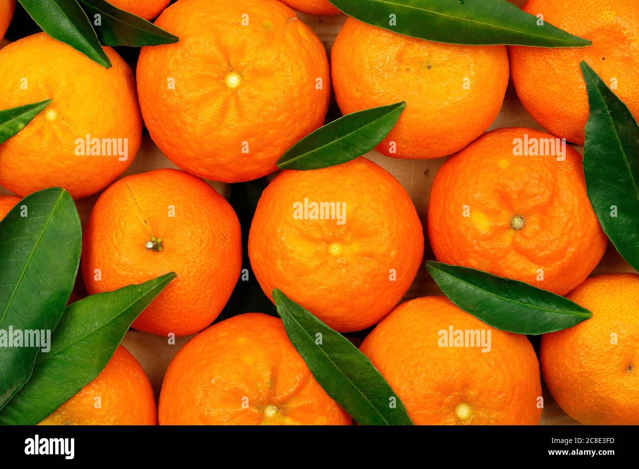 Oranges with leaves hi-res stock photography and images - Alamy